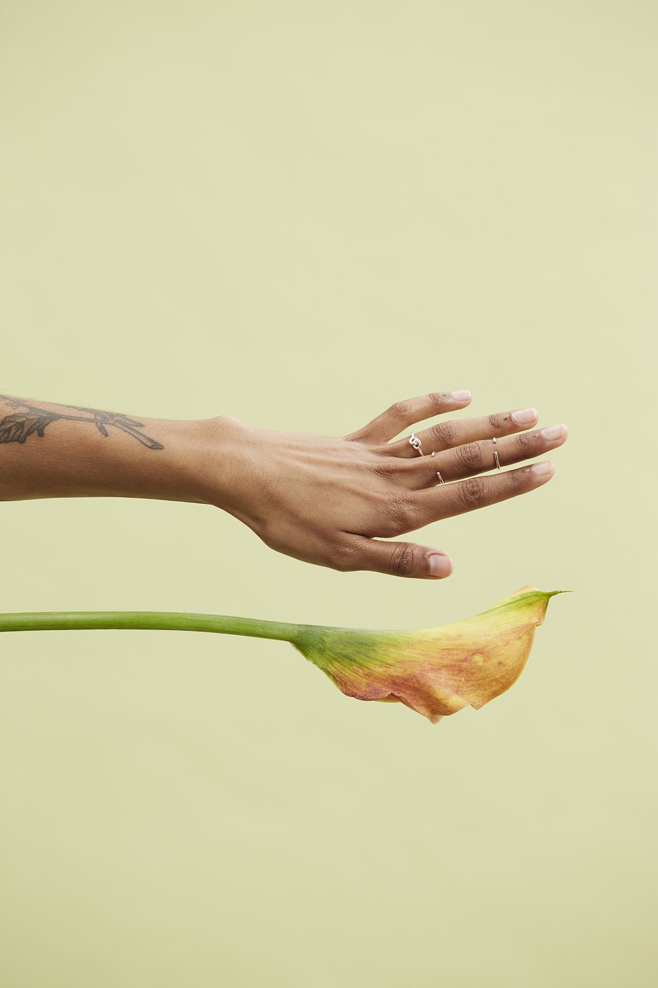 Stevedore Sleeper – Newend